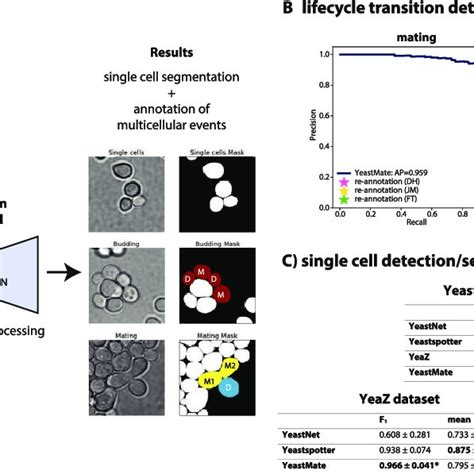 A Main Components And Output Of Yeastmate We Perform Instance