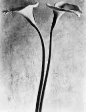 K I S S Jos Manuel Arango Dance With Me Girl