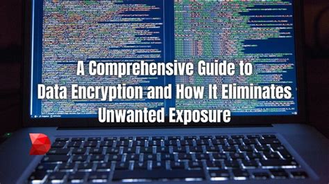 A Comprehensive Guide To Data Encryption Datamyte