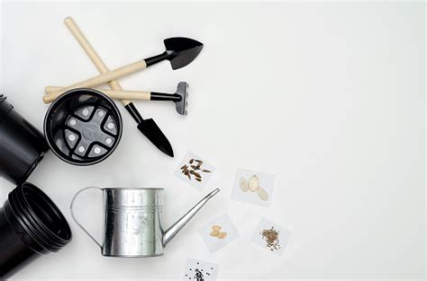 흰색 배경에 정원 도구의 개념 갈퀴 발 물 통 심기 냄비와 씨앗은 흰색 배경에 있습니다 격리된 수평 배경입니다 복사 공간 갈색에 대한 스톡 사진 및 기타 이미지 Istock