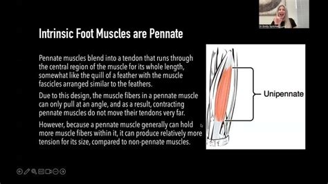 Dr Emily Splichal On Linkedin Unlocking Toe Flexor Strength Foot