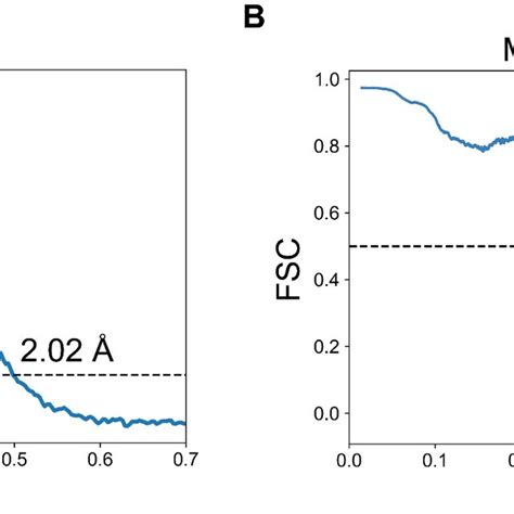 Figure Supplement 2 Fourier Shell Correlations For Cryo Em Maps Of The
