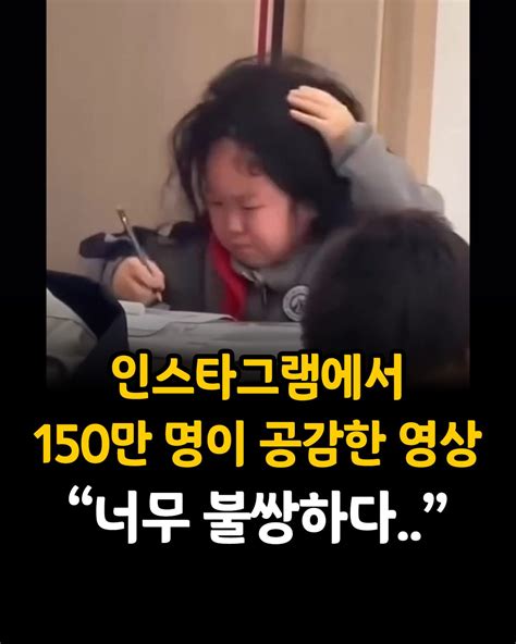 리틀포레스트 자식 키우는 부모 정신 번쩍 차리게 하는 사진 4장 ⠀ 아이의뇌 김붕년교수 서울대김붕년교수 자녀교육서 맘스타그램 육아 육아일상 육아소통