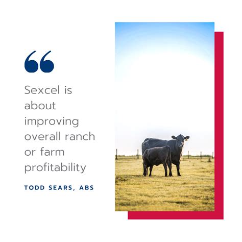 Sexed Semen And Estrus Detection A Win Win Abs Global Us