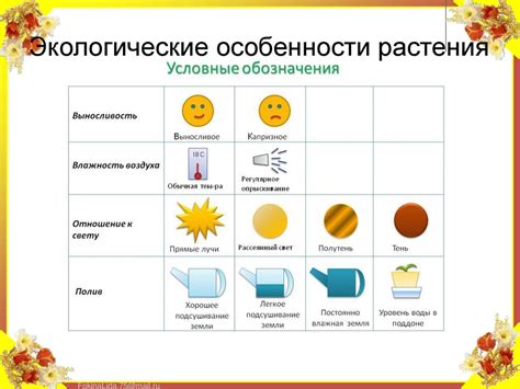 Сезонные и фенологические наблюдения за развитием растений Составление паспорта растения