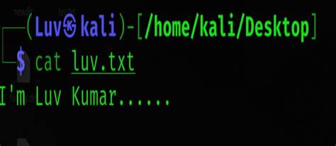 Comment Installer Steghide Tool Sous Linux StackLima