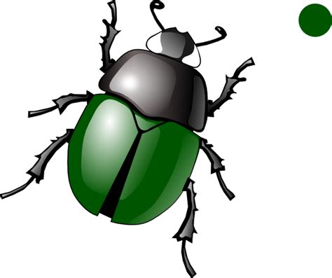 Bettle Clip Art At Vector Clip Art Online Royalty Free