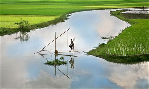 Bangladesh Fishing Bangladeshi Style Fishing Girls