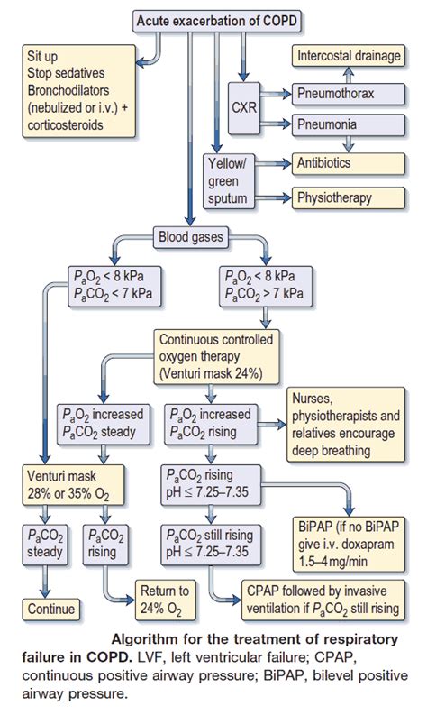 COPD Emphysema And Chronic Bronchitis From Diagnosis To Treatment Manual Of Medicine