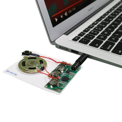 DIY USB Recordable Voice Chip Sound Module For Custom Gifts Funsuper