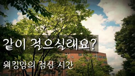 워킹맘vlog 점심시간 같이 걸으실래요 Youtube