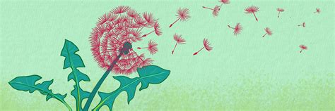 4 Best Plugins To Send Wordpress Post Notifications All Are Free Mailpoet