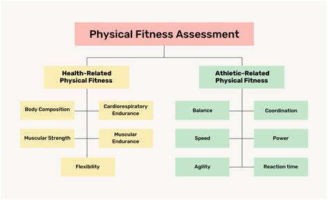 The Physical Activity Pyramids