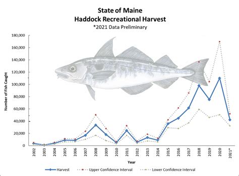 Recreational Landings Of Haddock Department Of Marine Resources