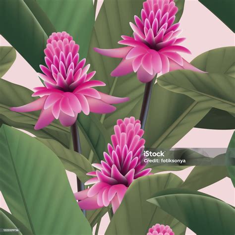 Jahe Merah Dengan Daun Pola Tropis Yang Mulus Latar Belakang Musim Panas Wallpaper Poster