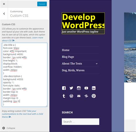 35395 Provide A Better Gateway For Code Based Theme Customizations With The Customizer