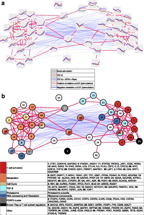 clusters of genes show the functional dynamics of gene expression