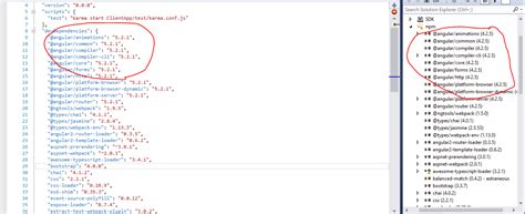 Package Updated To Angular 5 Latest Version But Npm Not
