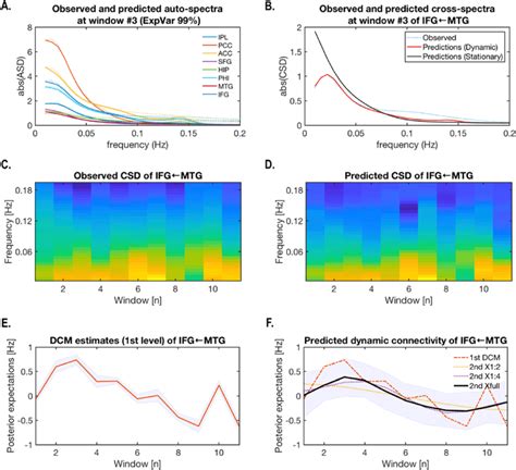 An Example Of Dynamic Effective Connectivity Estimation A Predicted