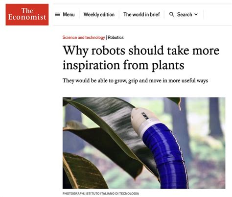 Filobot Istituto Italiano Di Tecnologia