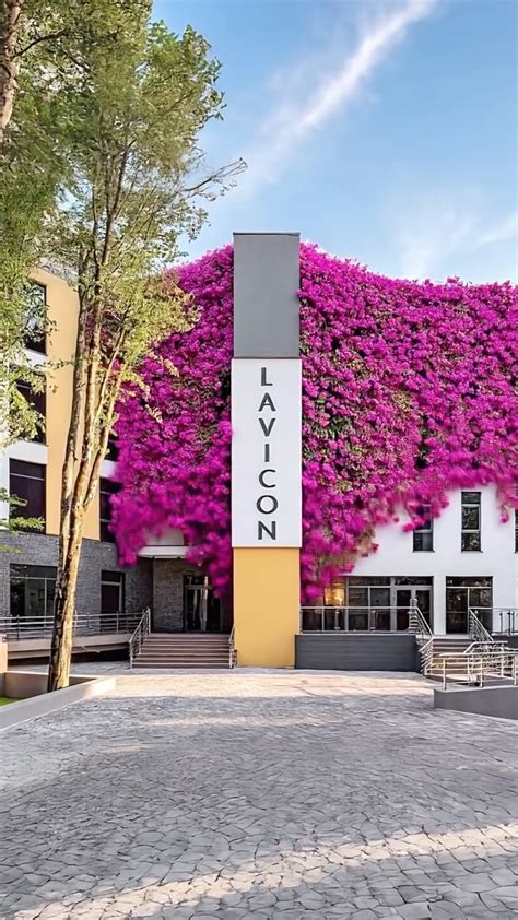 Lavicon Hotel Collection Самый красивый и нежный день в году Поздравляем всех милых дам с