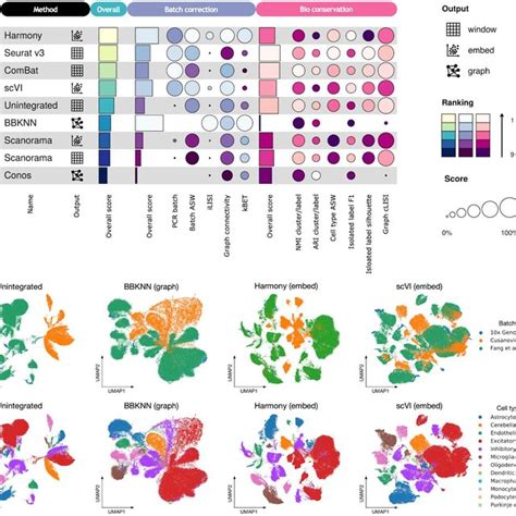Design Of Single Cell Integration Benchmarking Scib Schematic