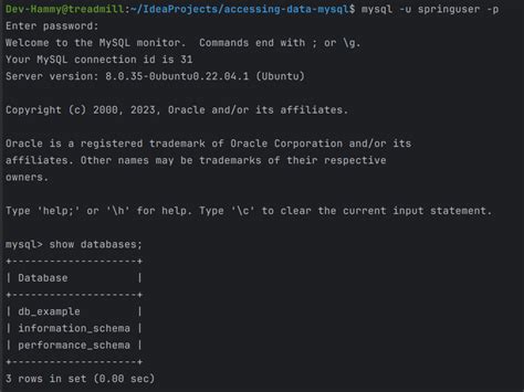 guide accessing data with mysql