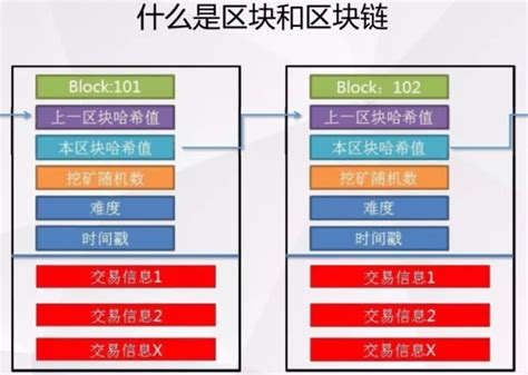 Bc之链式块状结构:区块链之链式块状结构——链式块状结构、内容相关配图区块链的链式结构图 Csdn博客 Bc之链式块状结构:区块链之链式块状结构——链式块状结构、内容相关配图区块链的链式结构图 Csdn博客