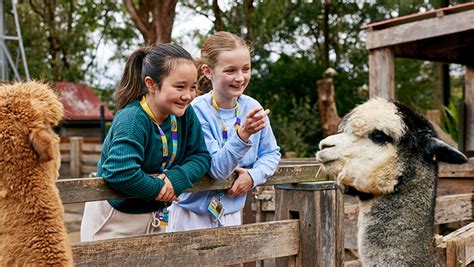 Zoo Friends Annual Membership | Taronga Conservation Society Australia