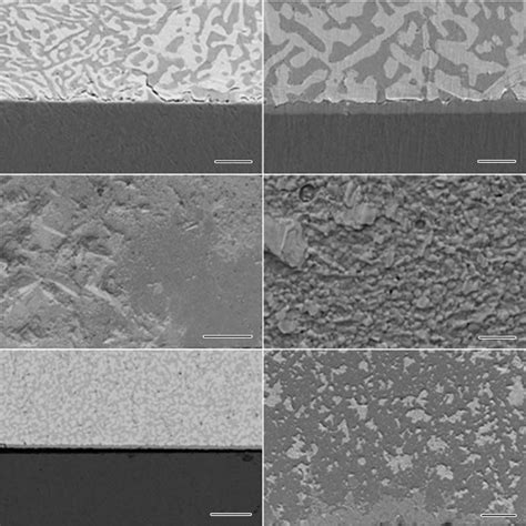 Fatigue Crack Initiations And Fracture Morphologies Of Sn58bicu
