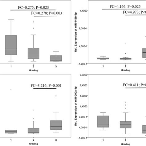 Microarray Analysis Of Mirna Expression In Tumor Tissues Mirna
