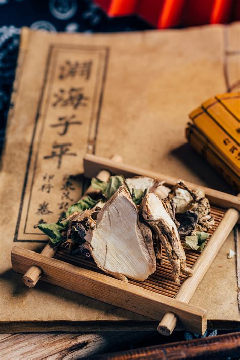 中草药养生素材 中草药养生模板 中草药养生图片免费下载 设图网