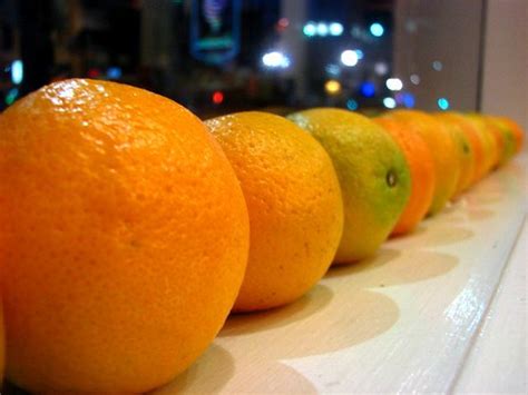 Three Phases Of Measurement