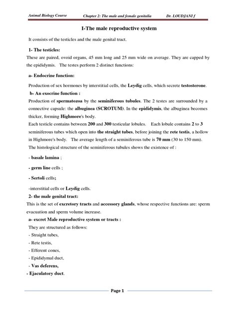 Emberyo Chapter 2 Male And Female Genitalia Pdf Testicle Uterus