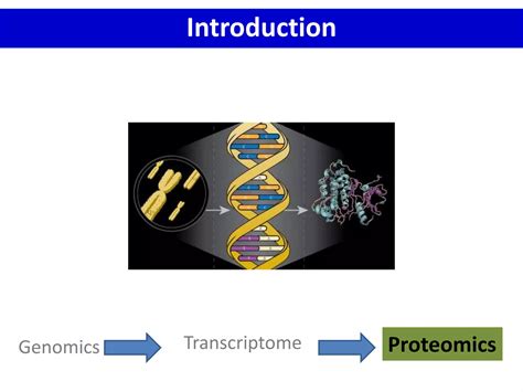 Proteomics PPTX