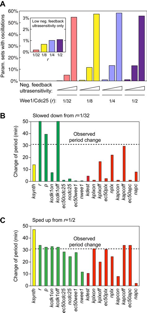 Modeled Robustness And Tunability From Negative Feedback Only Versus Download Scientific
