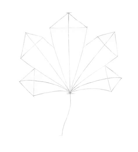 How To Draw A Leaf Step By Step Envato Tuts