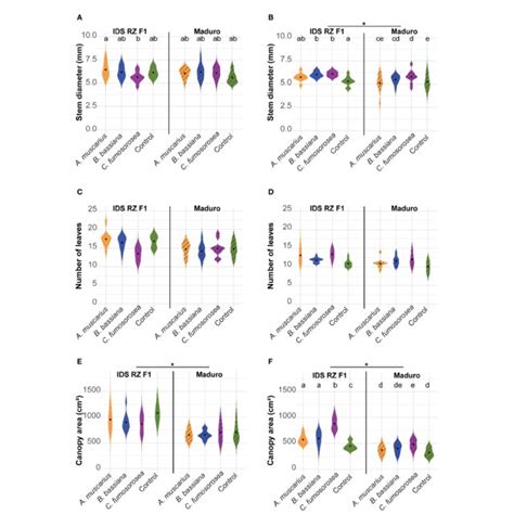 Stem Diameter A B Number Of Leaves C D Canopy Area E F Of