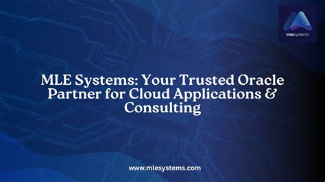 Mle Systems Servicenow Implementation And Consulting Partner