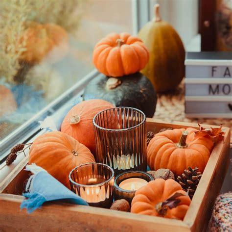 Fall Aesthetic Inspiration Subtle Decor Elements To Blend Into Your Space