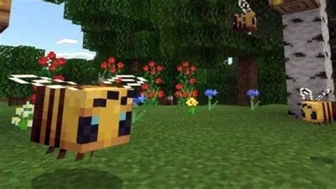 How To Get Honeycomb In Minecraft