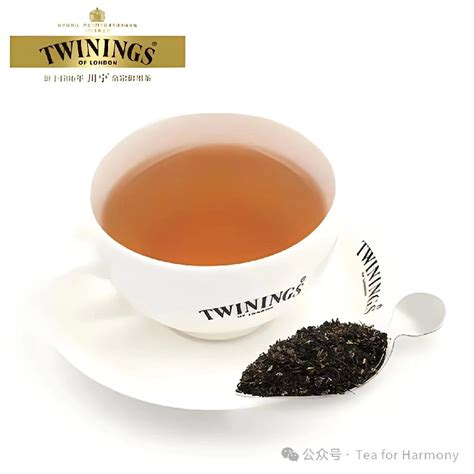 Tea For Harmony 了解中日英茶道文化发展弘扬中华茶道文化