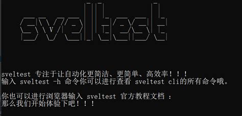 Cli Sveltest 文档