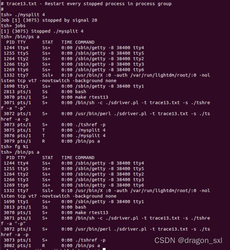 实验四 Shelllab实验（csapp、计算机系统外壳实验）shell Lab Csdn博客