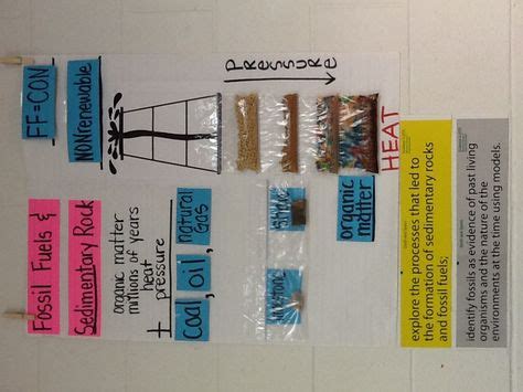 14 Fossil Fuels Ideas 5th Grade Science Earth Science Fossil Fuels