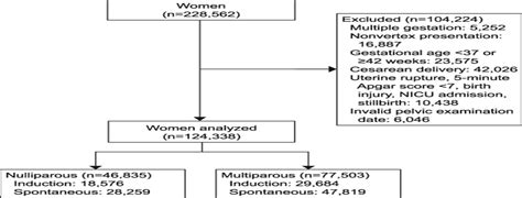 Obstetrics Gynecology