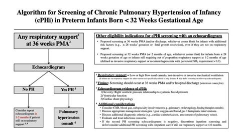 Levy Et Al Diagnosis And Management Of Pulmonary Hypertension In Infants With Bronchopulmonary