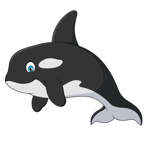 Cute Orca Cartoon Illustration Killer Whale Cute Cartoon 21570484 Vector Art At Vecteezy