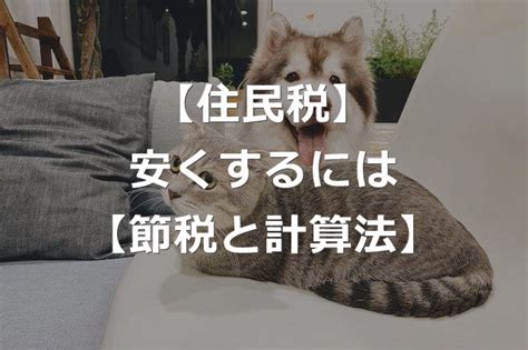 住民税を安くする、3つの方法【節税と計算のしくみ】 キベリンブログ
