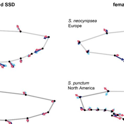 Forefemur Shape Deformations Associated With Mating Success Under Download Scientific Diagram